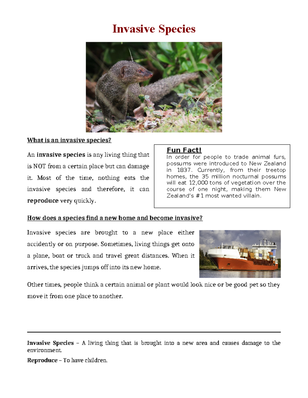 Invasive-Species - Bshhsehejeheheheheher - Invasive Species What is an ...