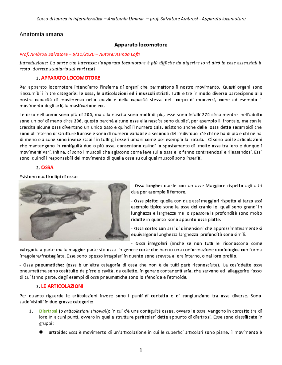 Apparato locomotore 1 - Anatomia umana Apparato locomotore Prof ...
