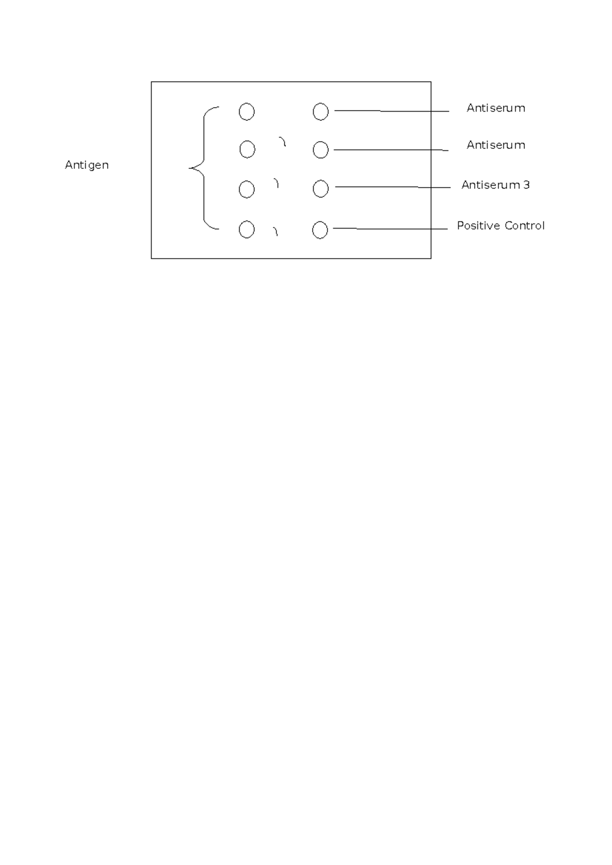 Result lab 4b BMS545 - AS201 - Antigen Antiserum 1 Antiserum 2 ...