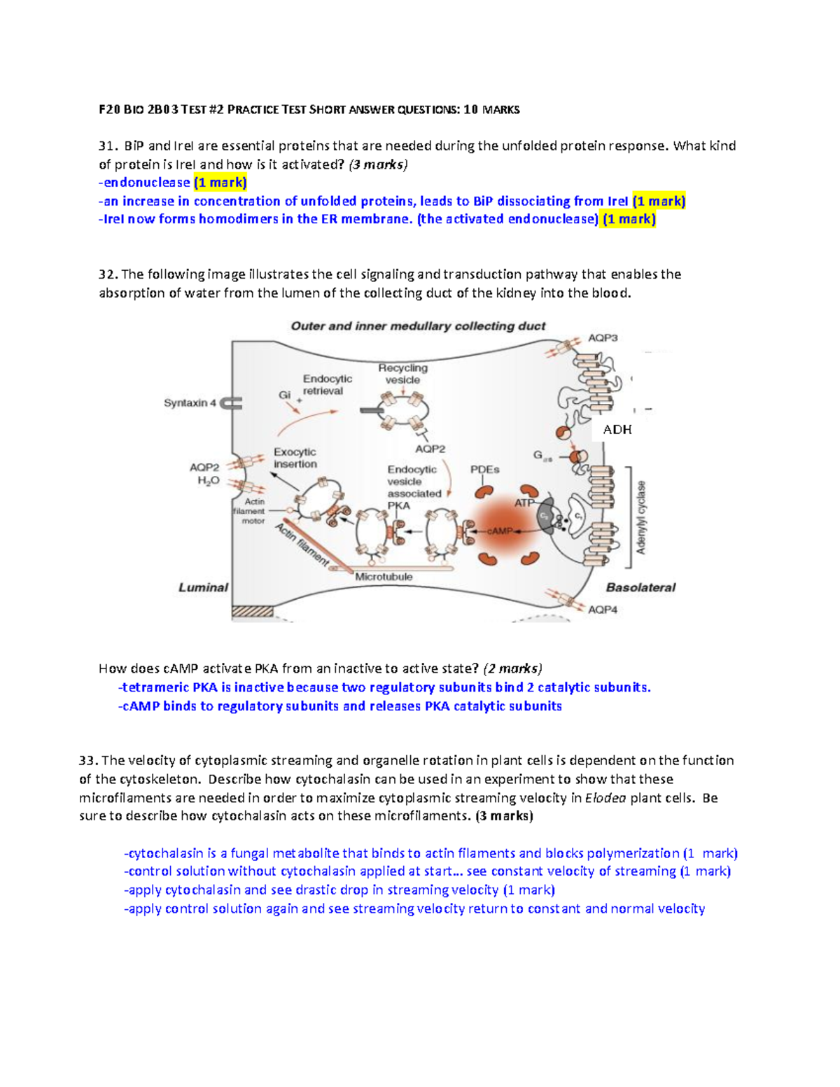 F20 Bio 2B03 Test 2 practice test short answers - Warning: TT ...