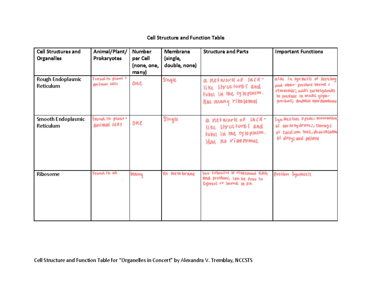 Cellular modeling sup - Definitions of Cell Structures - Cell Structure ...
