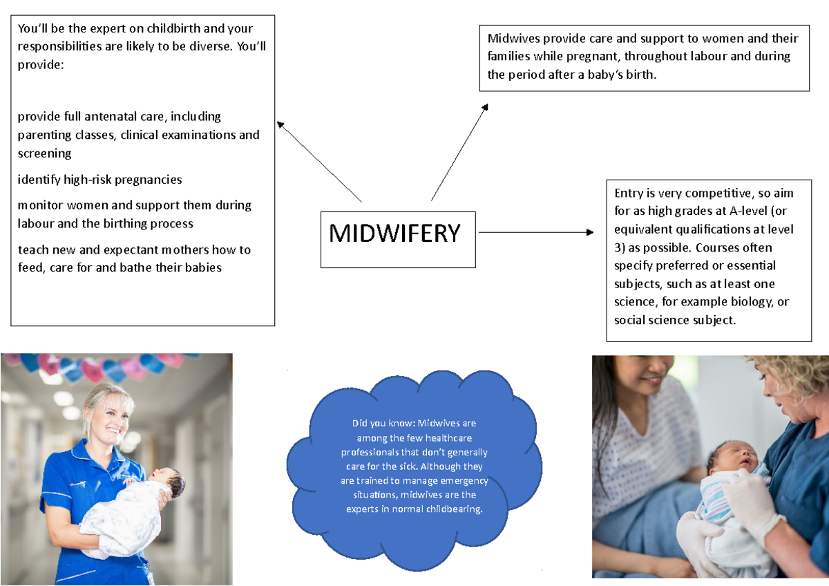 Midwife poster - Did you know: Midwives are among the few healthcare ...