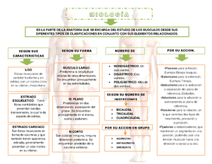 Tacto espicrítico y protopático - El sistema nervioso se divide en vías ...