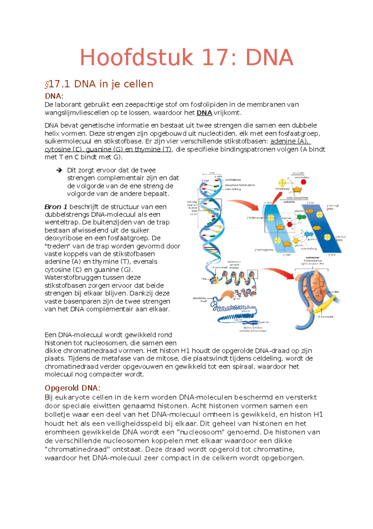 Hoofdstuk 17 - bio - Hoofdstuk 17: DNA §17 DNA in je cellen DNA: De ...