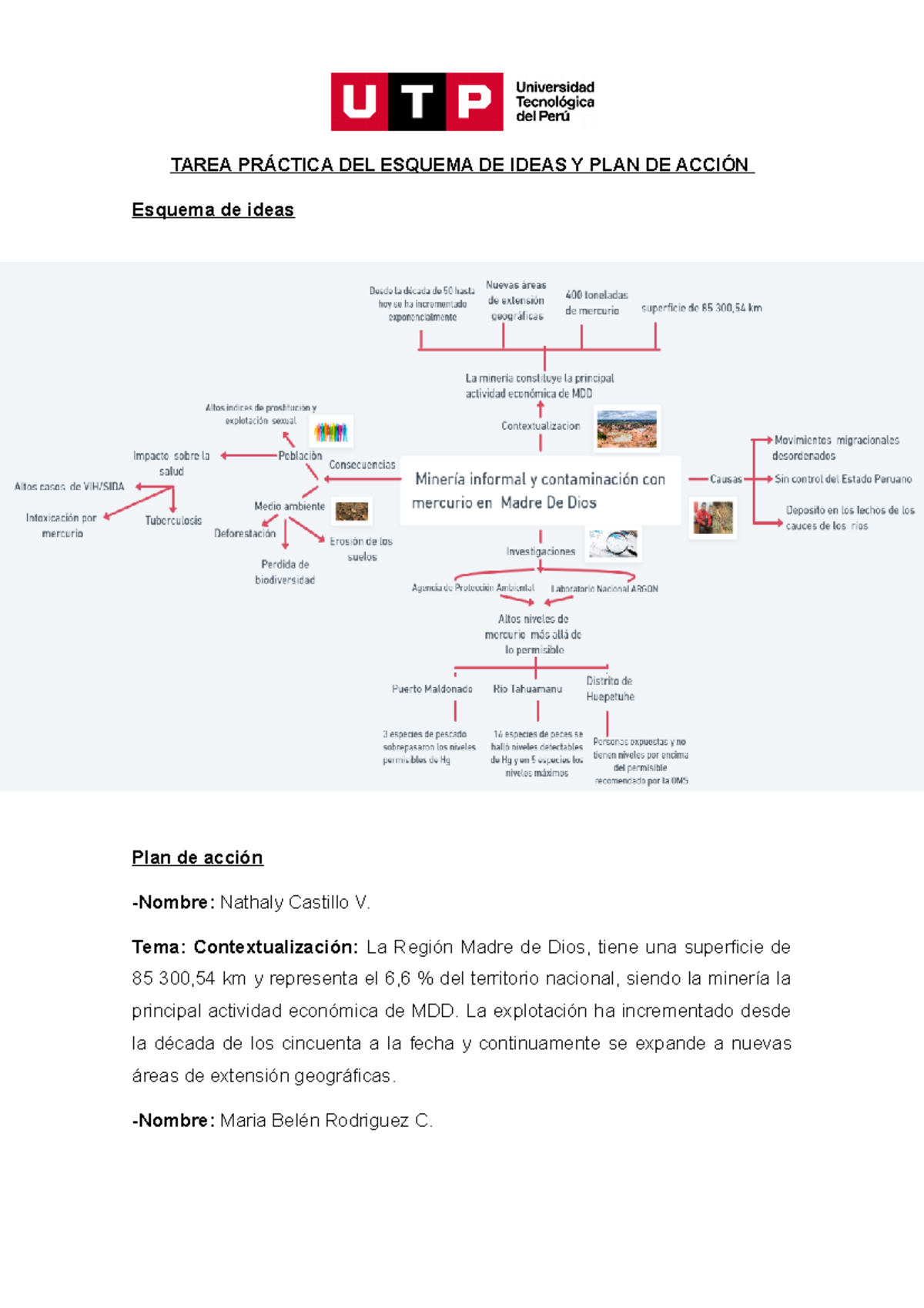Tarea Práctica DEL Esquema DE Ideas Y PLAN DE Acción - TAREA PRÁCTICA DEL ESQUEMA DE IDEAS Y ...