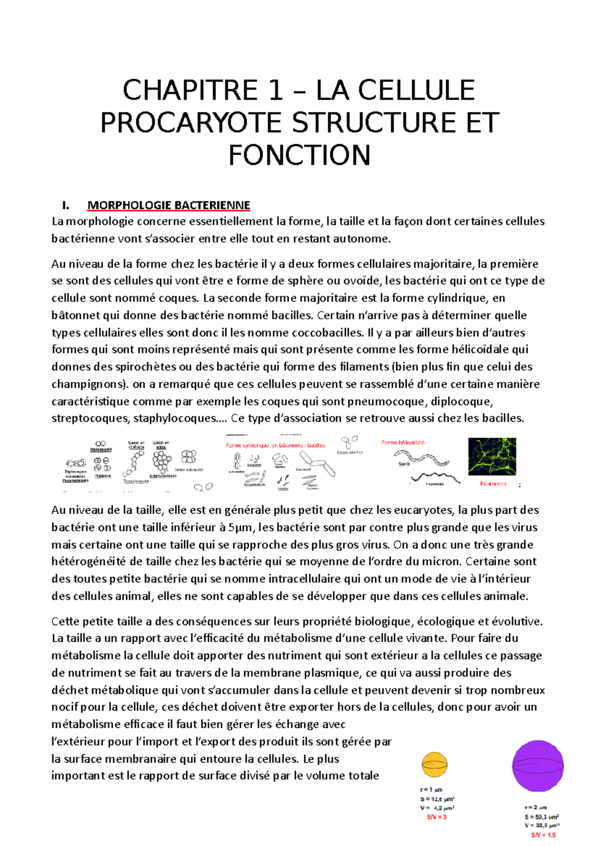 1 – La cellule procaryotes structure et fonction - CHAPITRE 1 – LA ...
