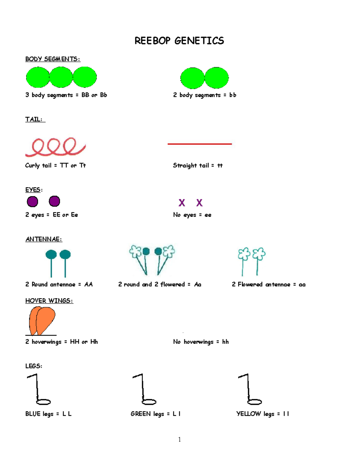 Reebops-genetics-1 - REEBOP GENETICS BODY SEGMENTS: 3 body segments ...