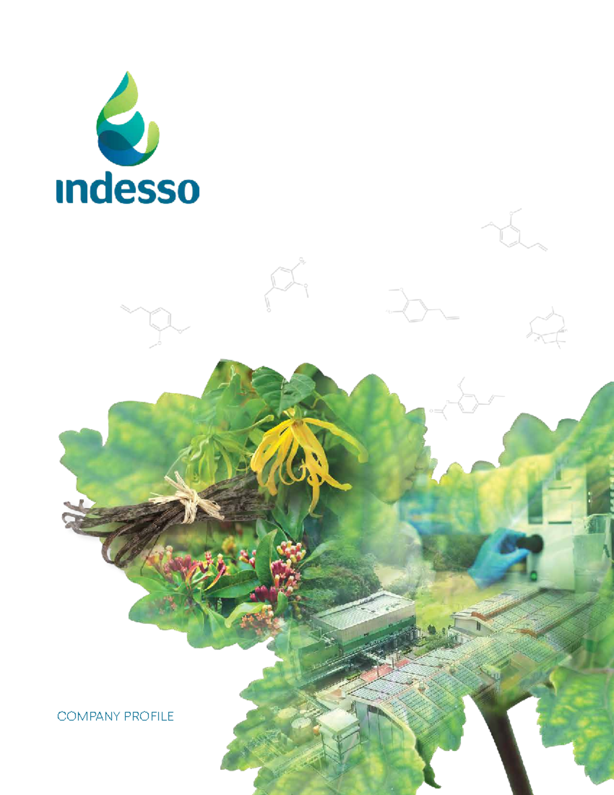 Indesso company profile - COMPANY PROFILE OUR MISSION OUR VALUES Esprit ...