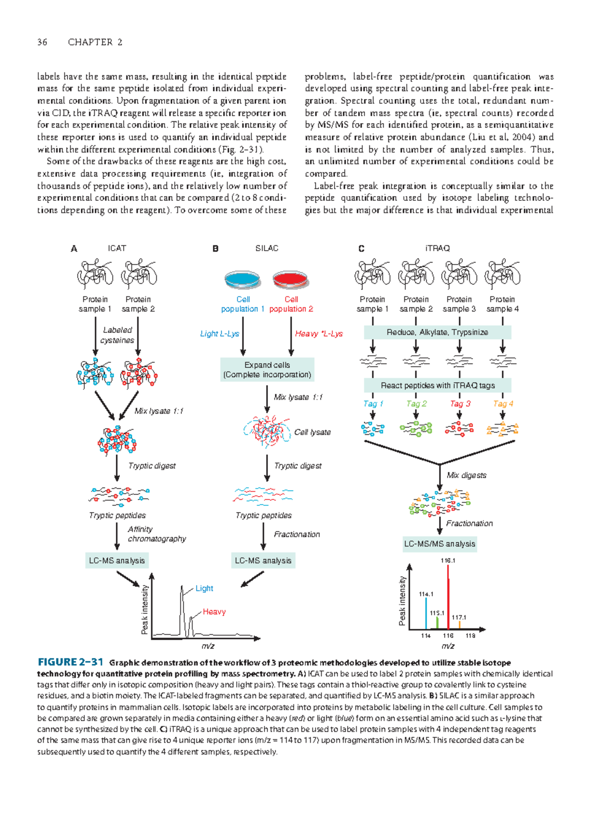 Basic Science of Oncology 5th-17 - 36 CHAPTER 2 labels have the same ...