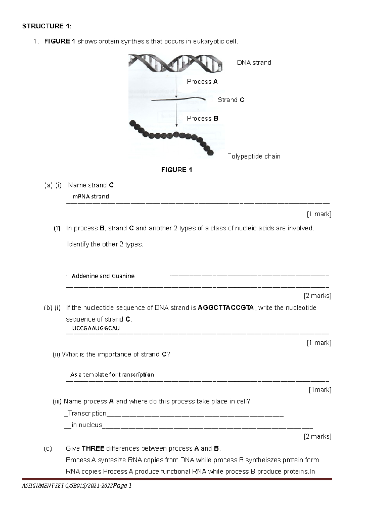 Draft assignment 2 bio - Biology work - STRUCTURE 1: FIGURE 1 shows ...