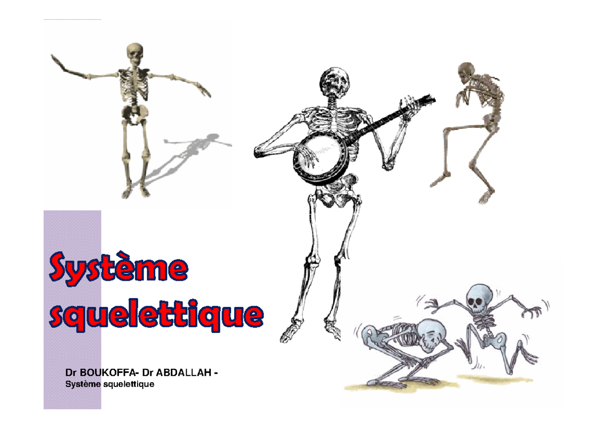 2- système squelettique - Dr BOUKOFFA- Dr ABDALLAH - Plan du coursPlan ...