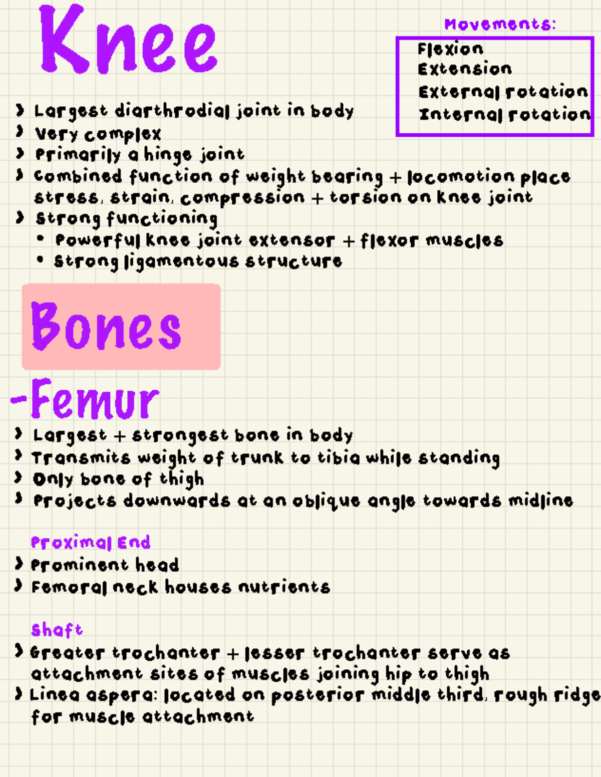 Knee - notes made on all info from slides and textbook - Knee Largest ...