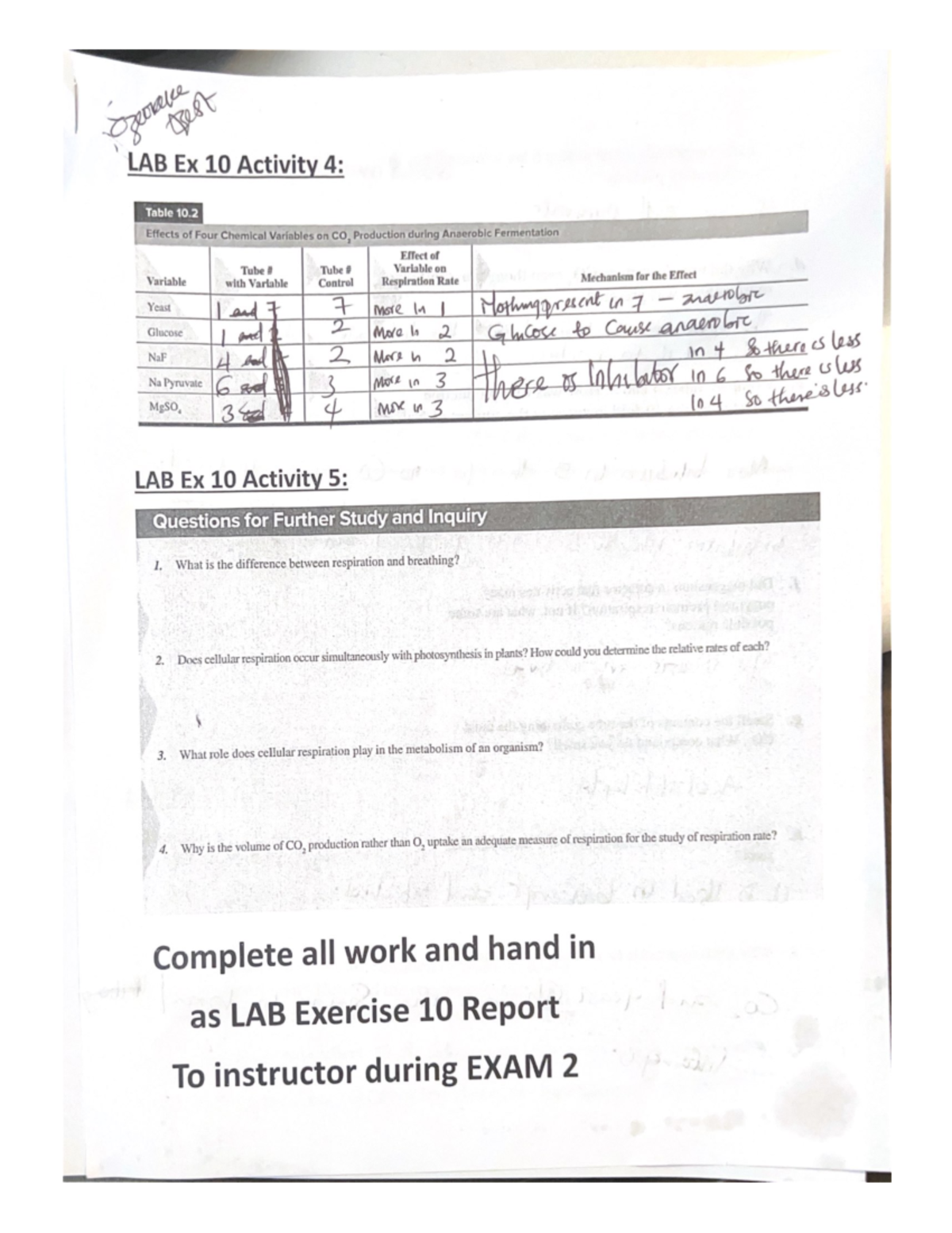LAB Ex 10 Activity 4 - Cell reactions and variables - LAB Ex 10 Activity 4: Table 10 Effects of ...
