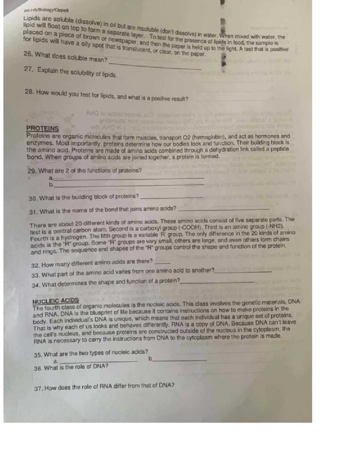 Doc2 - Assignment for Gen Bio - lipid Lipids will are float soluble on top (dissolve) to form a ...