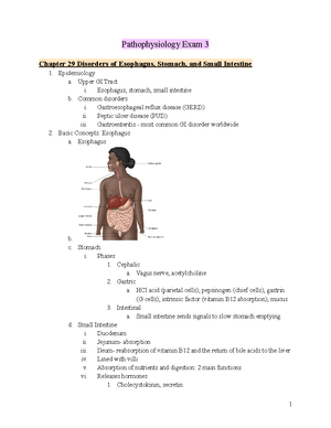 Pathophysiology Final Exam - Pathophysiology Final Exam Chapter 24 ...