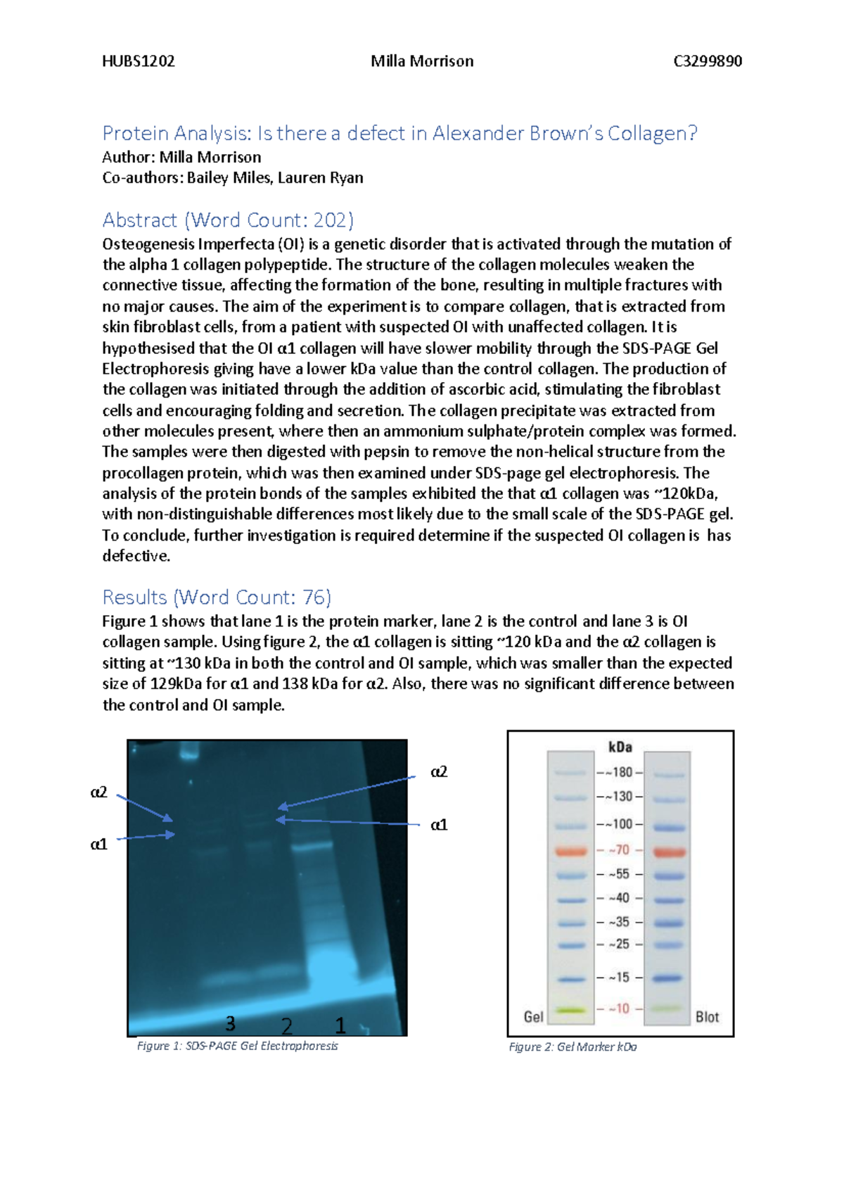 Protein Analysis Assessment Warning Tt Undefined Function 32 Warning Tt Undefined