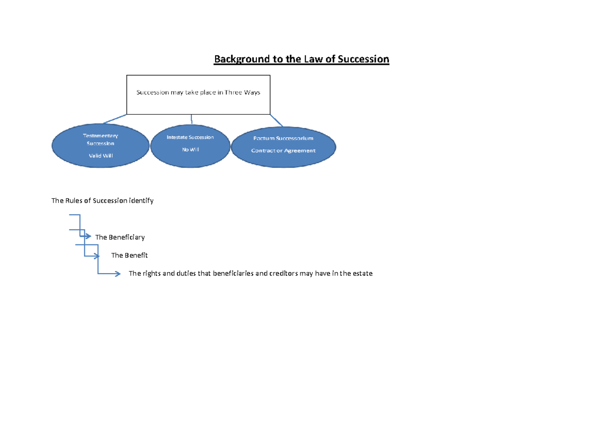 Chapter 1 Background - Summary The law of succession in South Africa ...