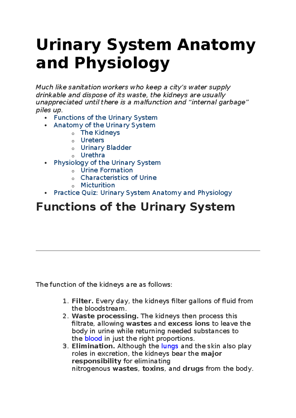 Urinary System Anatomy and Physiology - Urinary System Anatomy and ...