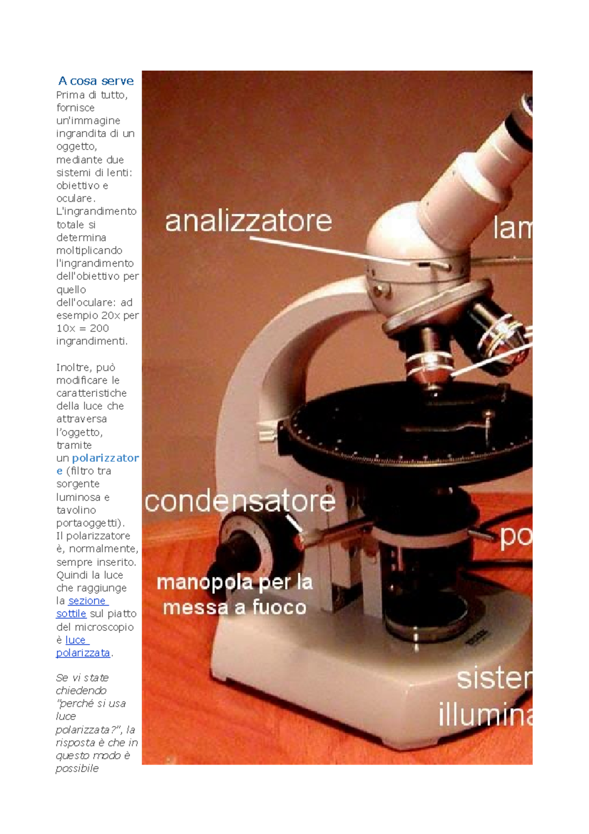 Saggio di management and informations fis7s - Management Information ...