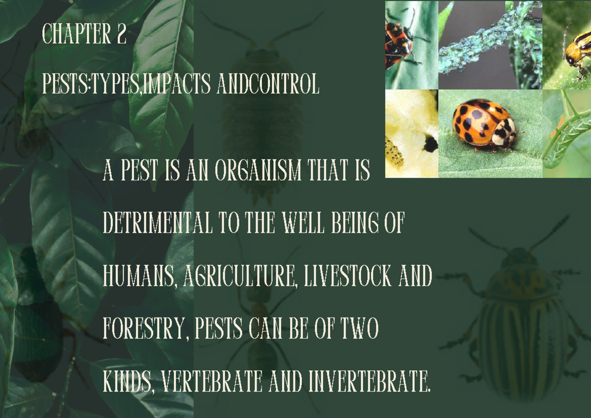 IPM-report Group 1 - AGRICULTURE - Chapter 2 Pests:Types,Impacts ...