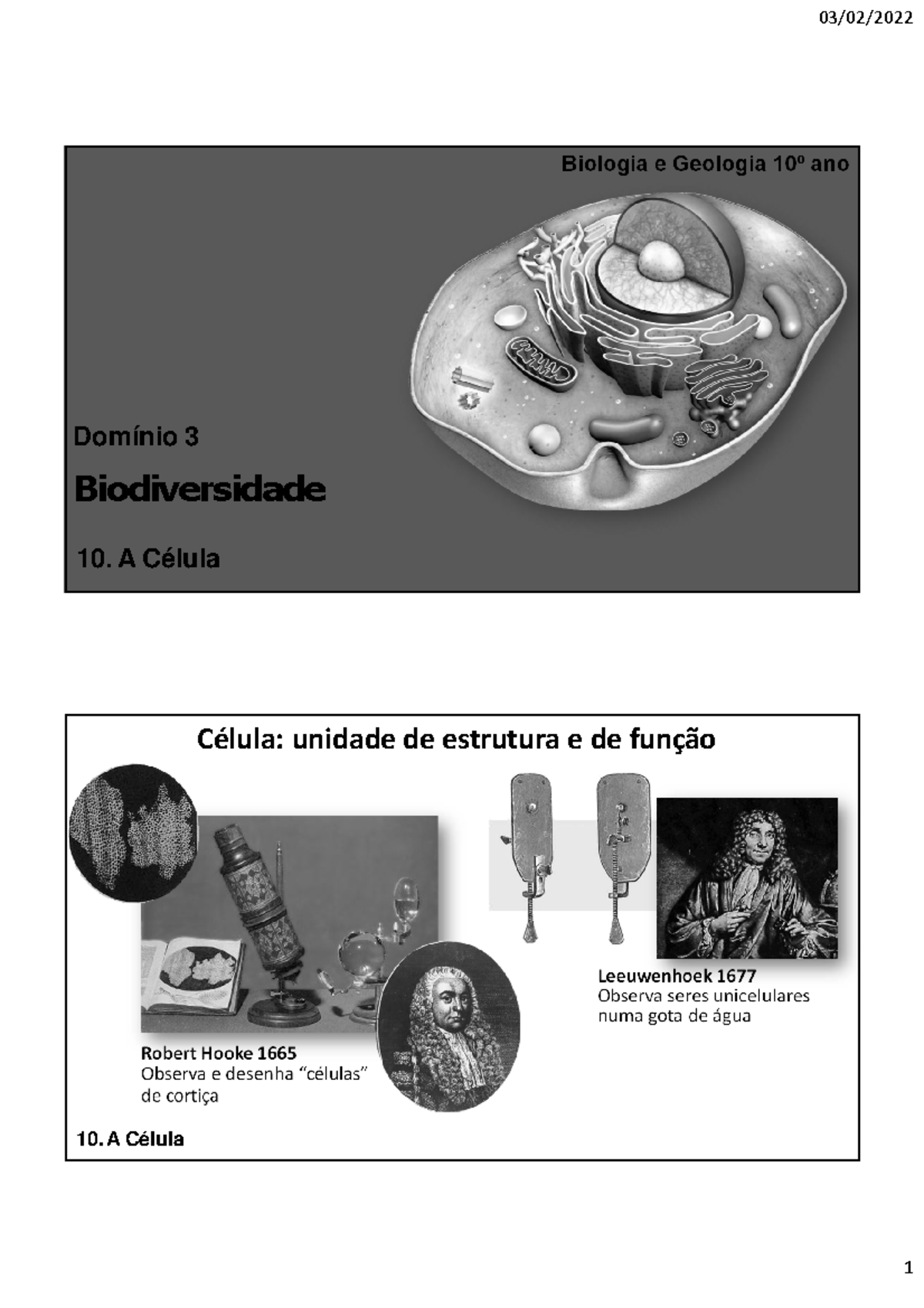 1.2 A Celula - yhfghgfhfh y rty ty ty rt ytr yrt yr d fgh yhfghgfhfh y ...