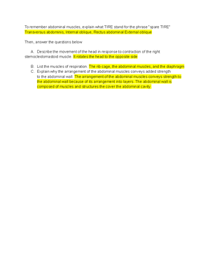 Week 5 Assignment Worksheet - Week 5 Assignment Worksheet Vocabulary ...
