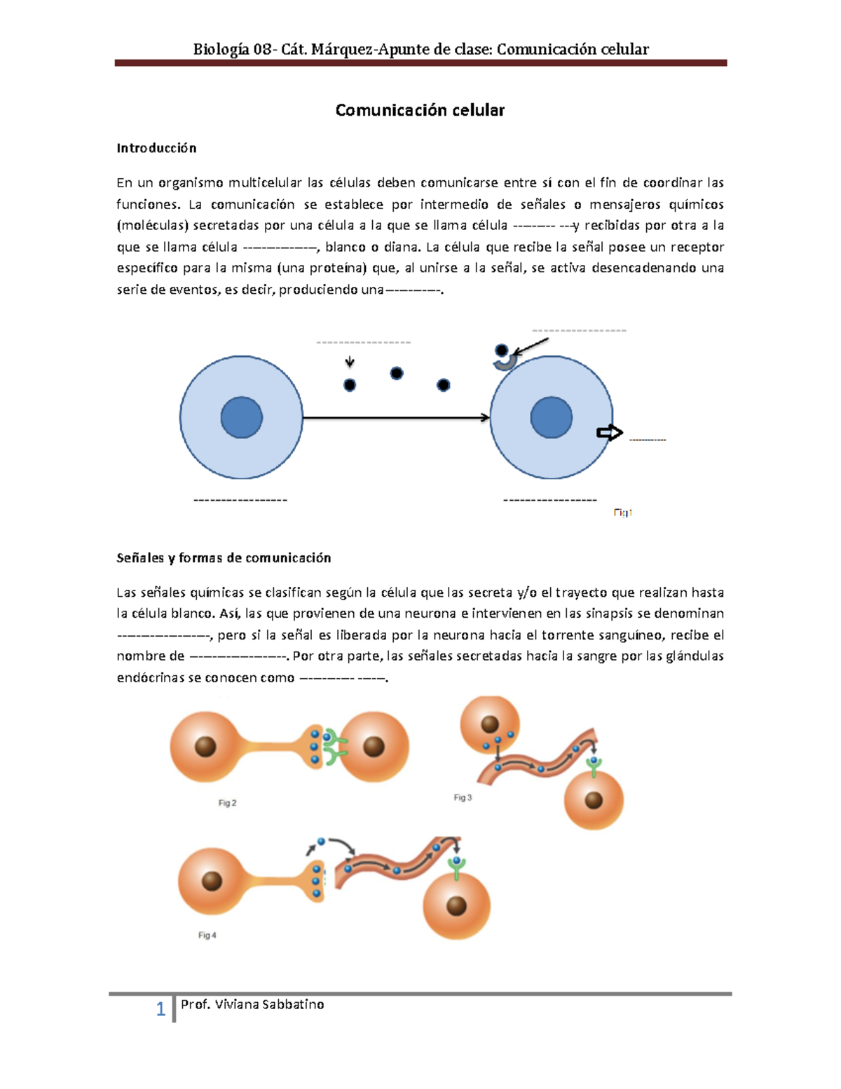 Comunicación - apunte - Comunicación celular Introducción En un ...