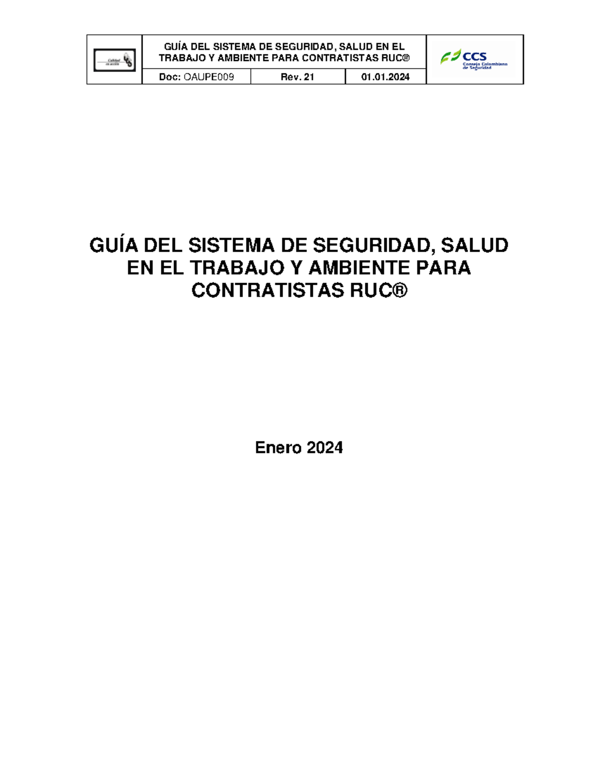 Guía para la aplicación del RUC Versión 2024-01-01 - TRABAJO Y AMBIENTE ...