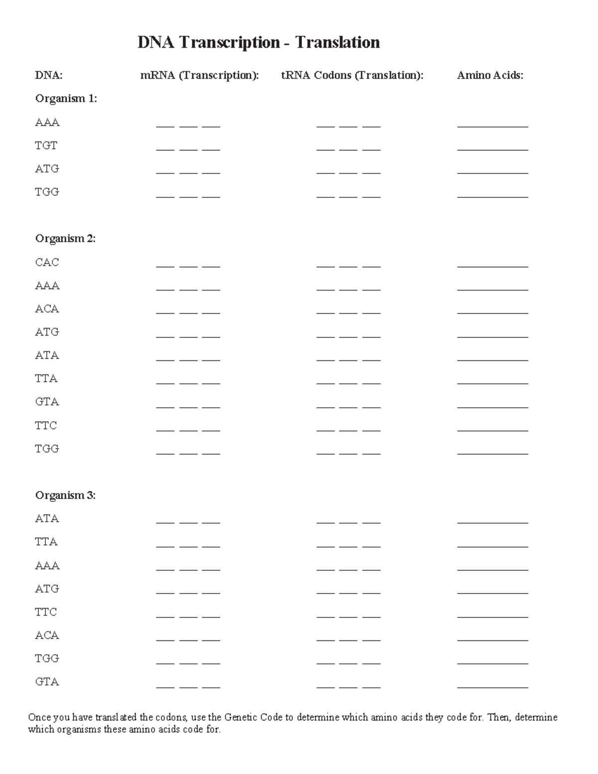 Transcription Translation Activity - DNA Transcription - Translation ...