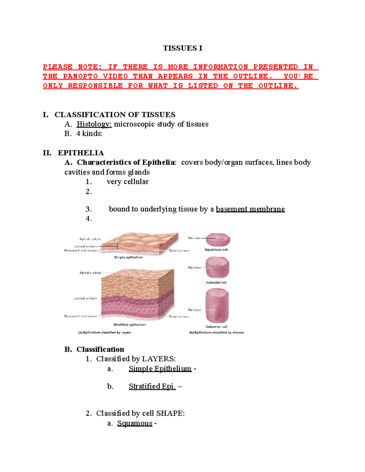 BIO225-1 - exam review - TISSUES I PLEASE NOTE: IF THERE IS MORE ...