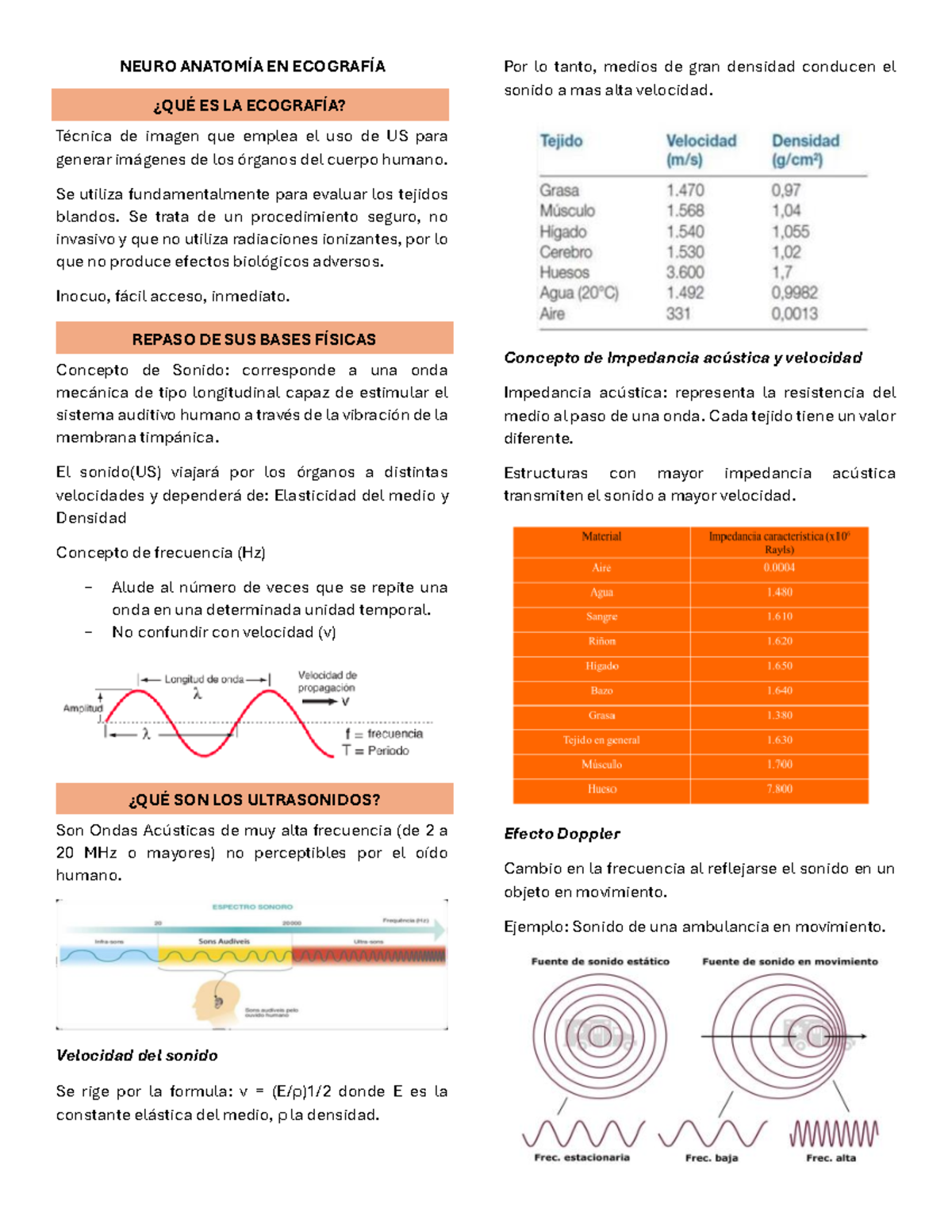 ECO Cerebro - NEURO ANATOMÍA EN ECOGRAFÍA Técnica de imagen que emplea ...