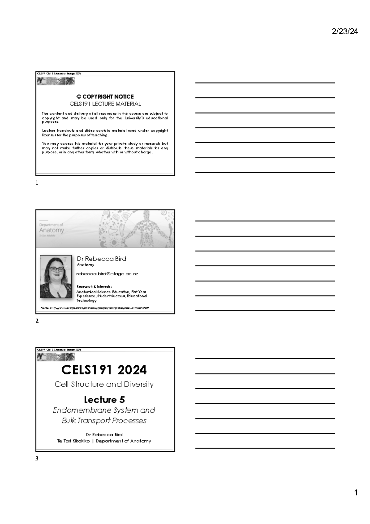 CELS191 2024 L5 Endomembrane System ANDBulk Transport Processes BWNotes ...