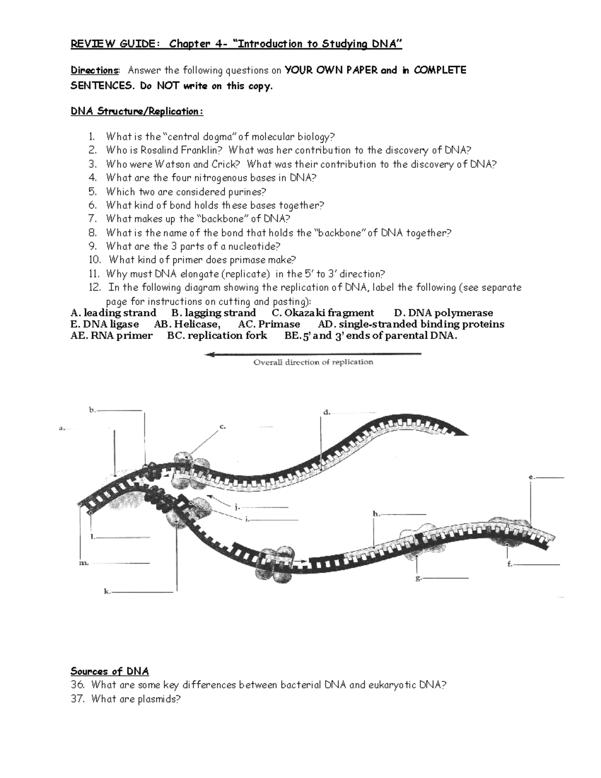 DNA Replication Review - REVIEW GUIDE: Chapter 4- “Introduction to ...