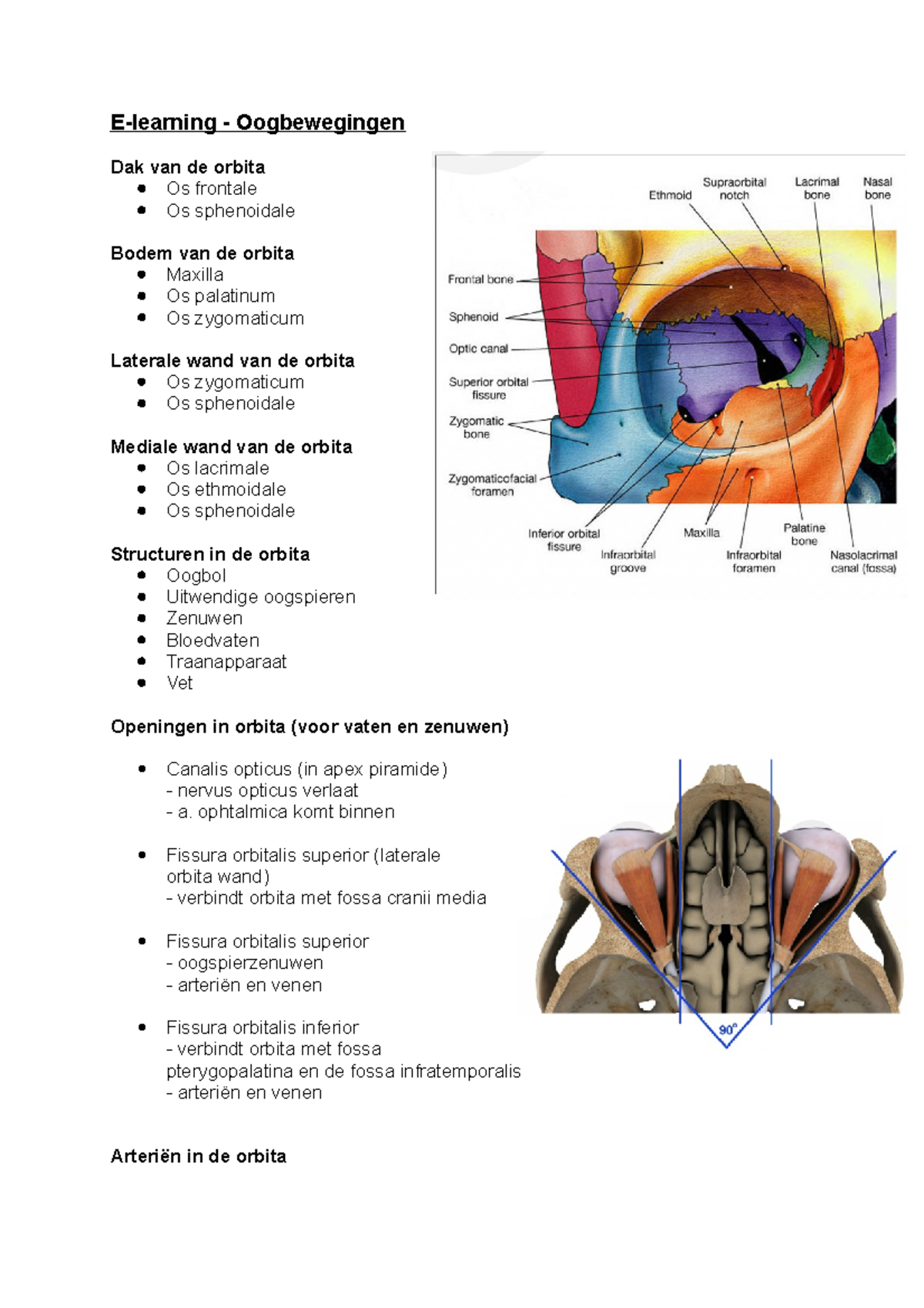 E-learning oogbewegingen - E-learning - Oogbewegingen Dak van de orbita ...