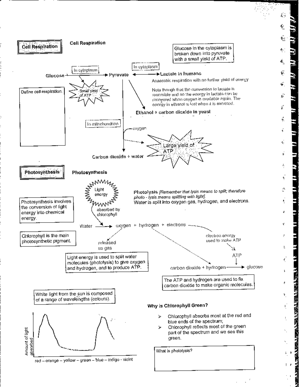 Photosyn review - lab handout - BIOL 112 - Studocu