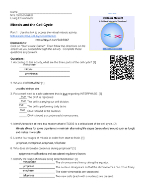 N Gen Math 7.Unit 1 - math - Name: ______________________________ Date