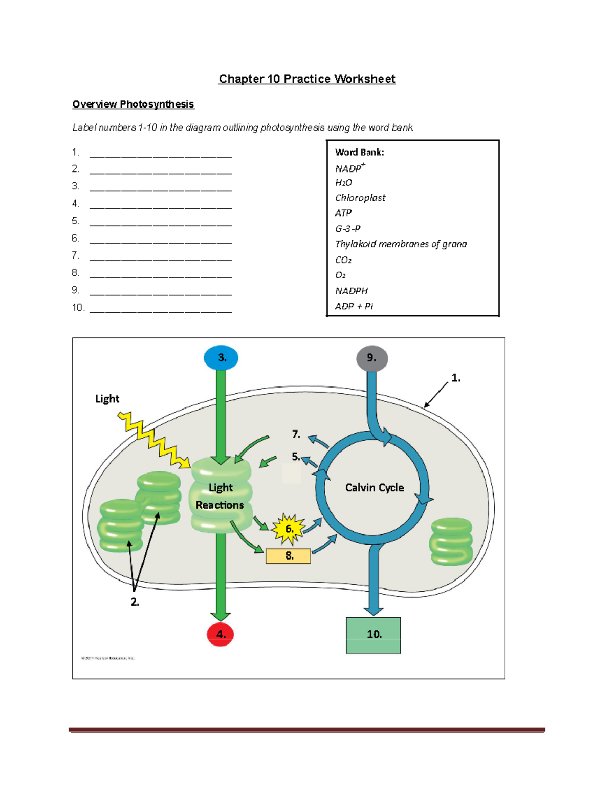 Chap 10 Practice Worksheet - Chapter 10 Practice Worksheet Overview ...
