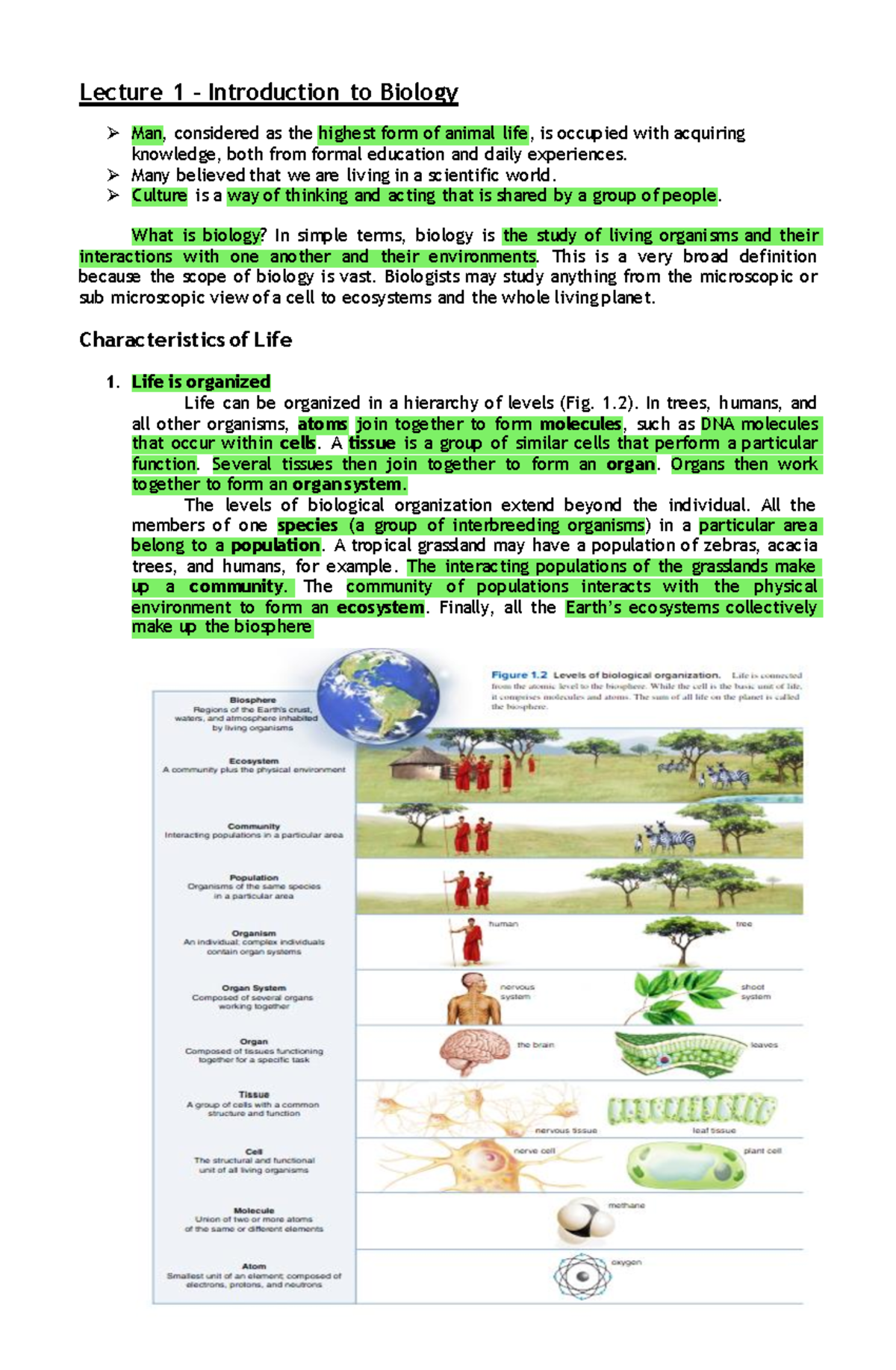 Lecture 1 Introduction to Biology - Lecture 1 – Introduction to Biology ...
