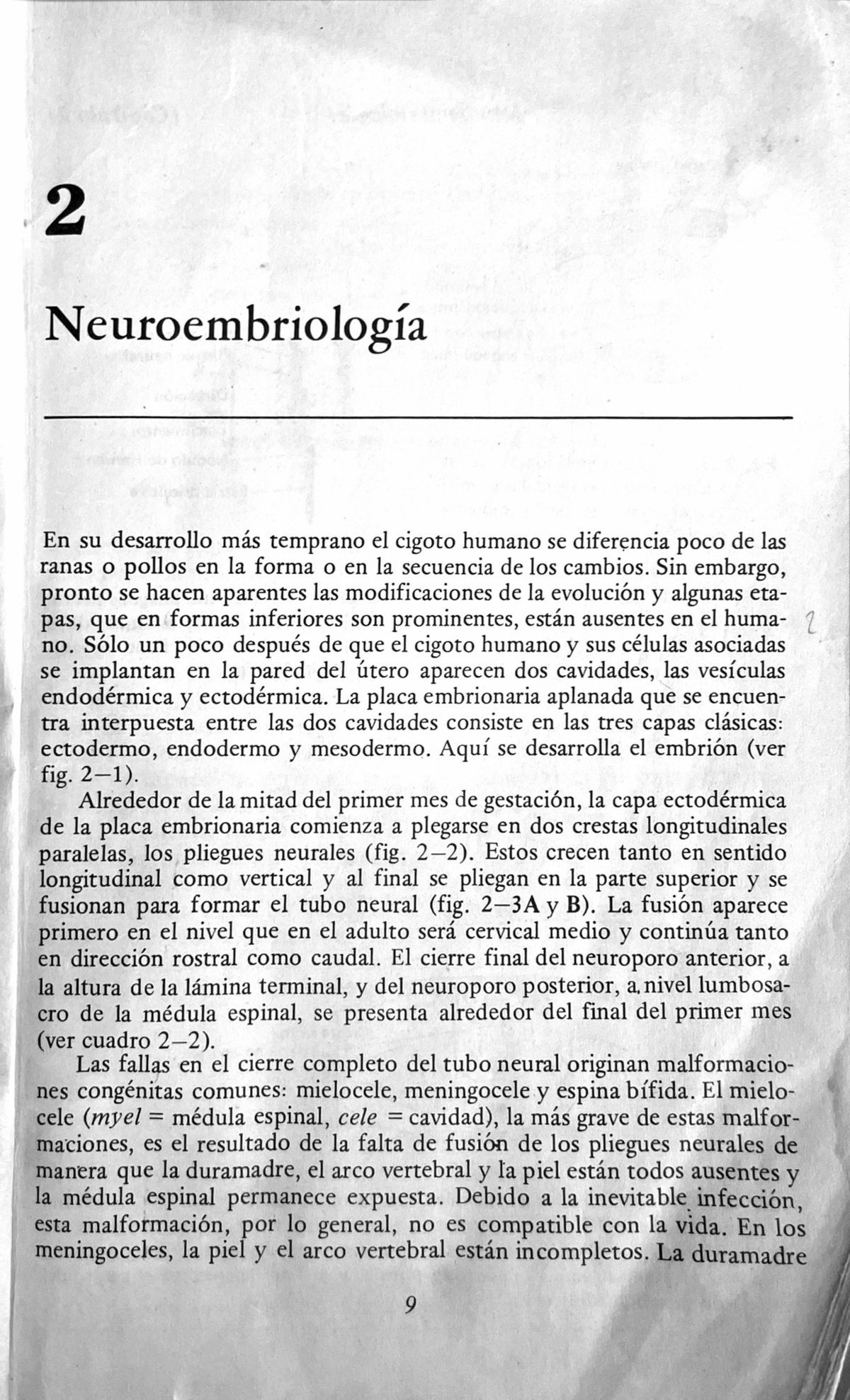 NeuroembriologíA - 2 Neuroembriología En su desarrollo más temprano el ...