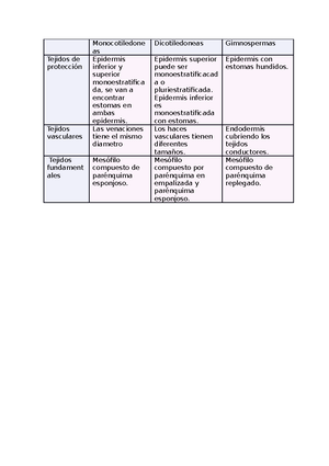 Práctica 7 - Estructura externa e interna de la hoja - INSTITUTO ...