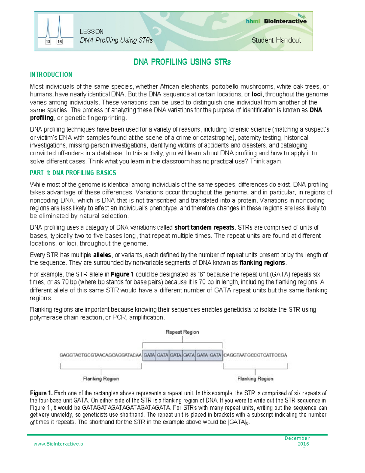 DNA Profiling Activity Student - DNA Profiling Using STRs Student Handout December 2016 - Studocu