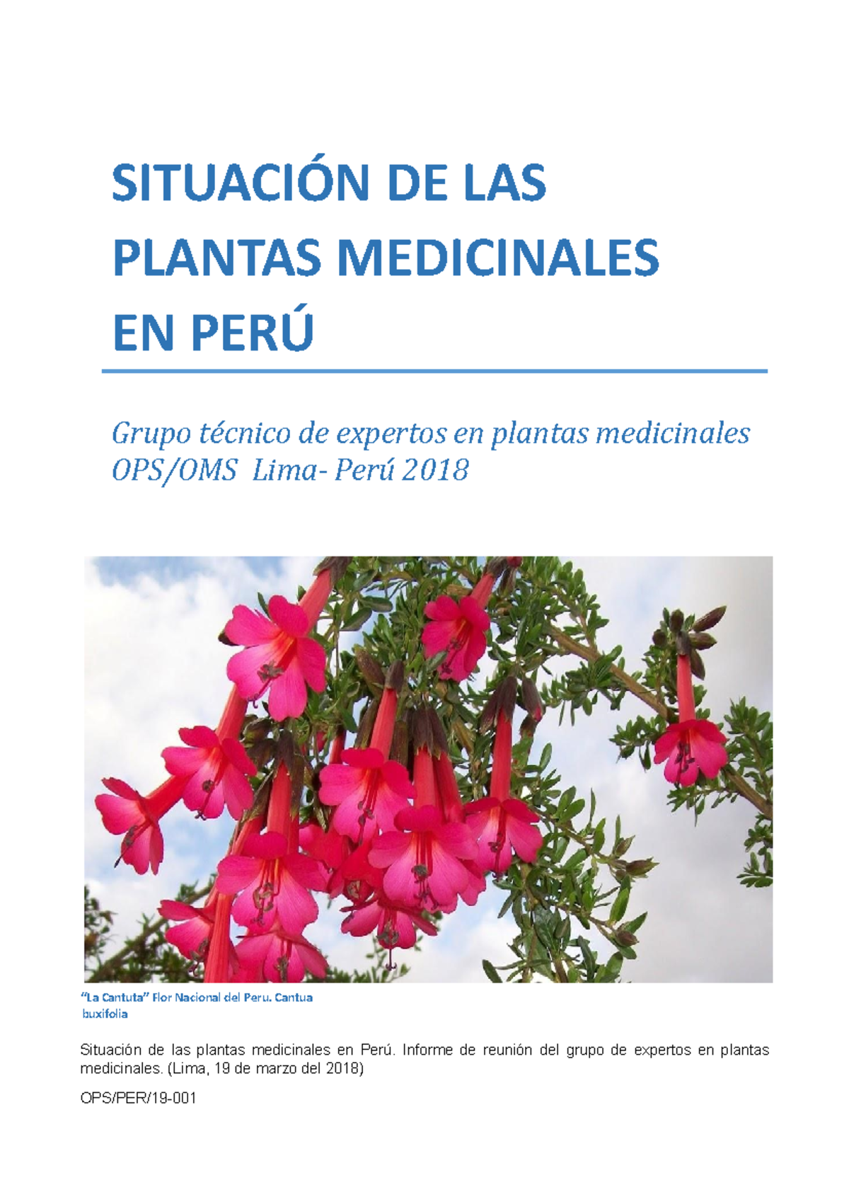 Botanica plantas medicinales - SITUACIÓN DE LAS PLANTAS MEDICINALES EN ...