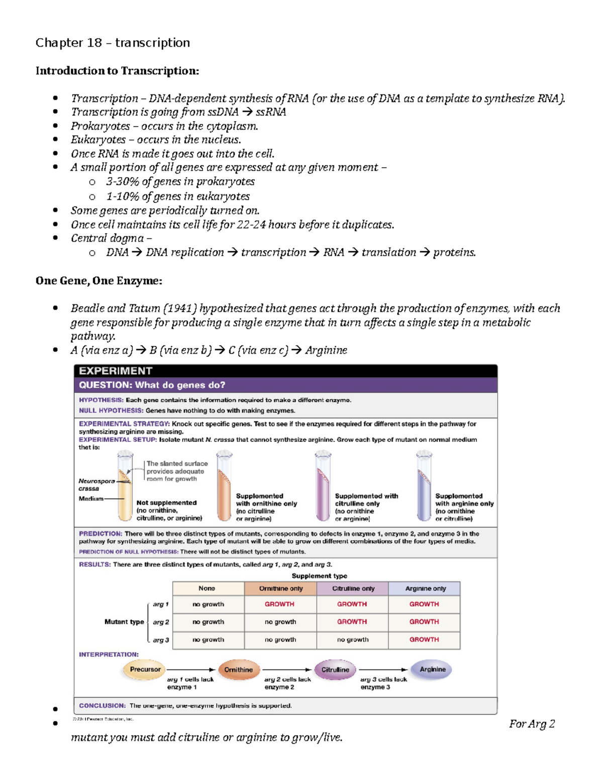 Biochem exam 3 study guide - Chapter 18 – transcription Introduction to ...