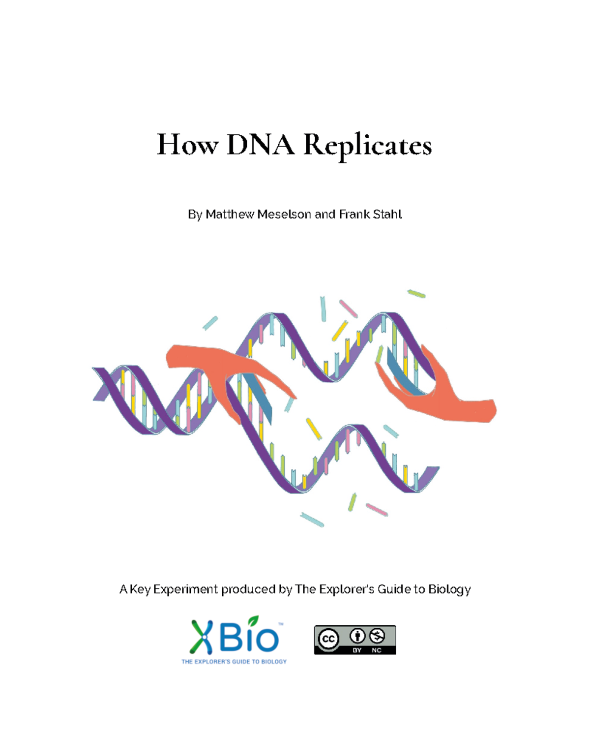 How-dna-replicates - stuff - KCL - Studocu