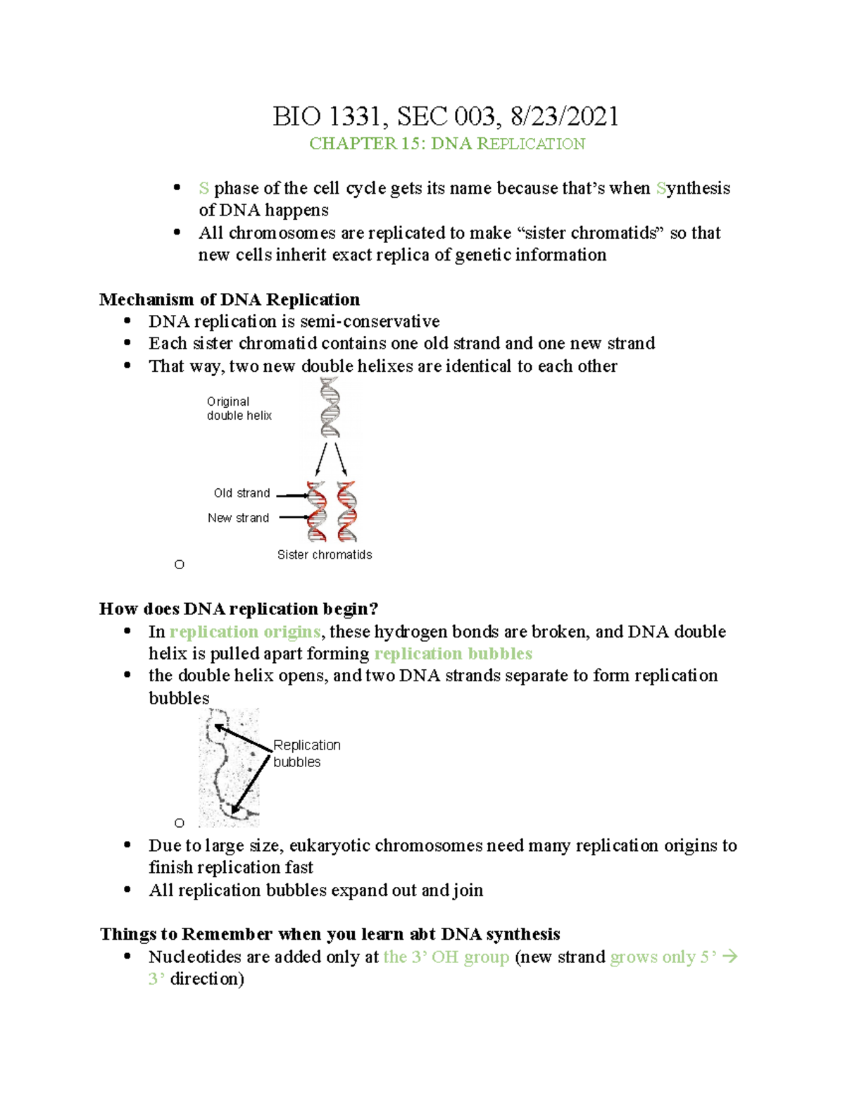 Bio notes, ch. 15 - dna replication, Sunethra Dharmasiri - BIO 1330 ...
