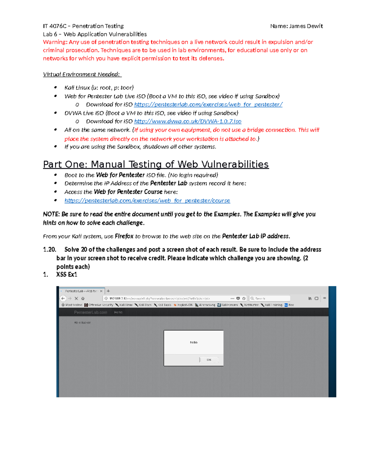 Lab 6 - Exam prep - Lab 6 – Web Application Vulnerabilities Warning: Any use of penetration ...