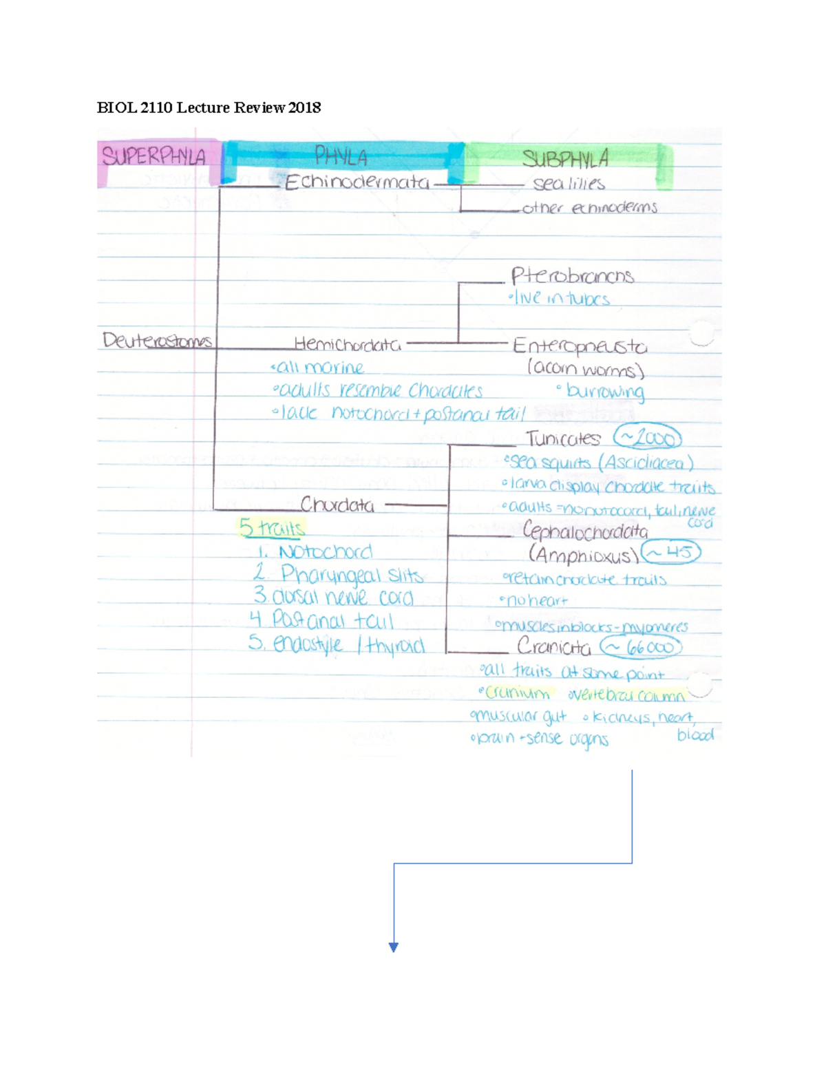 Lecture notes week 0-9 - BIOL 2110 Lecture Review 2018 LECTURE ONE de ...