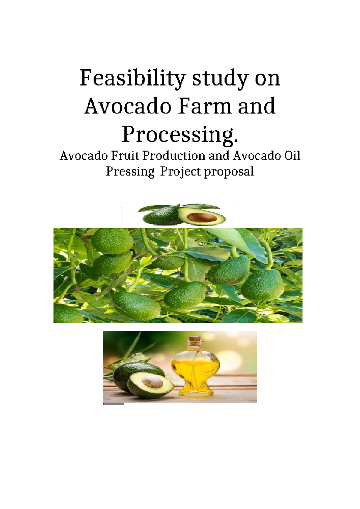 Avocado Farm And Processing Project Proposal - Feasibility study on ...