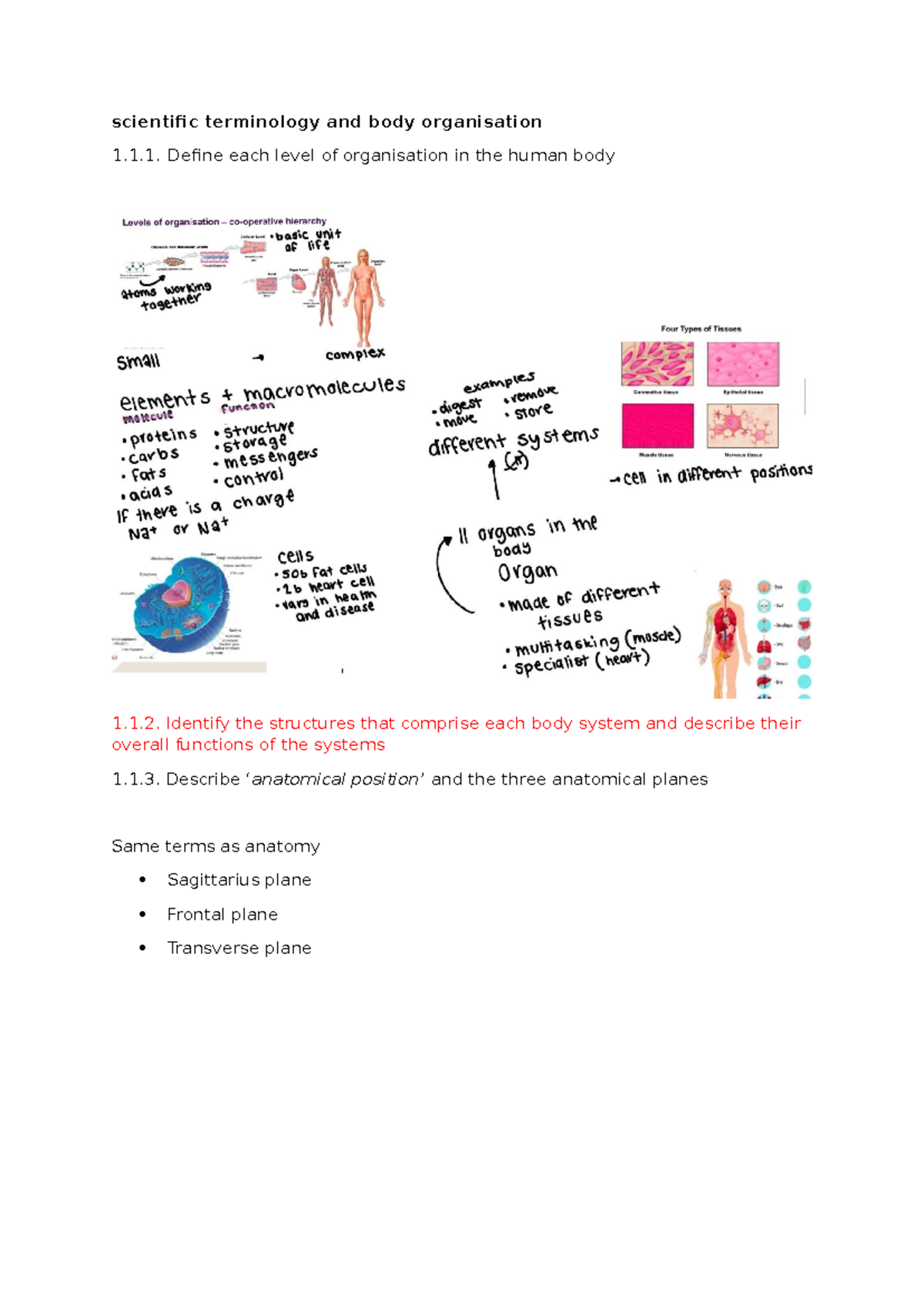 Cheat sheet - scientific terminology and body organisation 1.1. Define ...