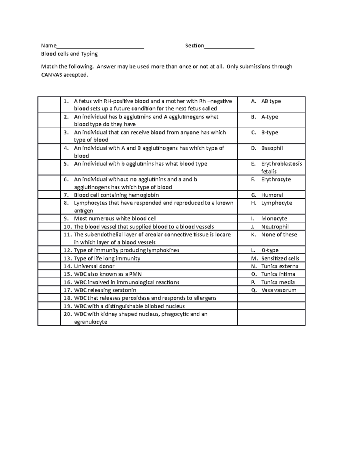 Questions Blood Cells - Name____________________________ Section ...